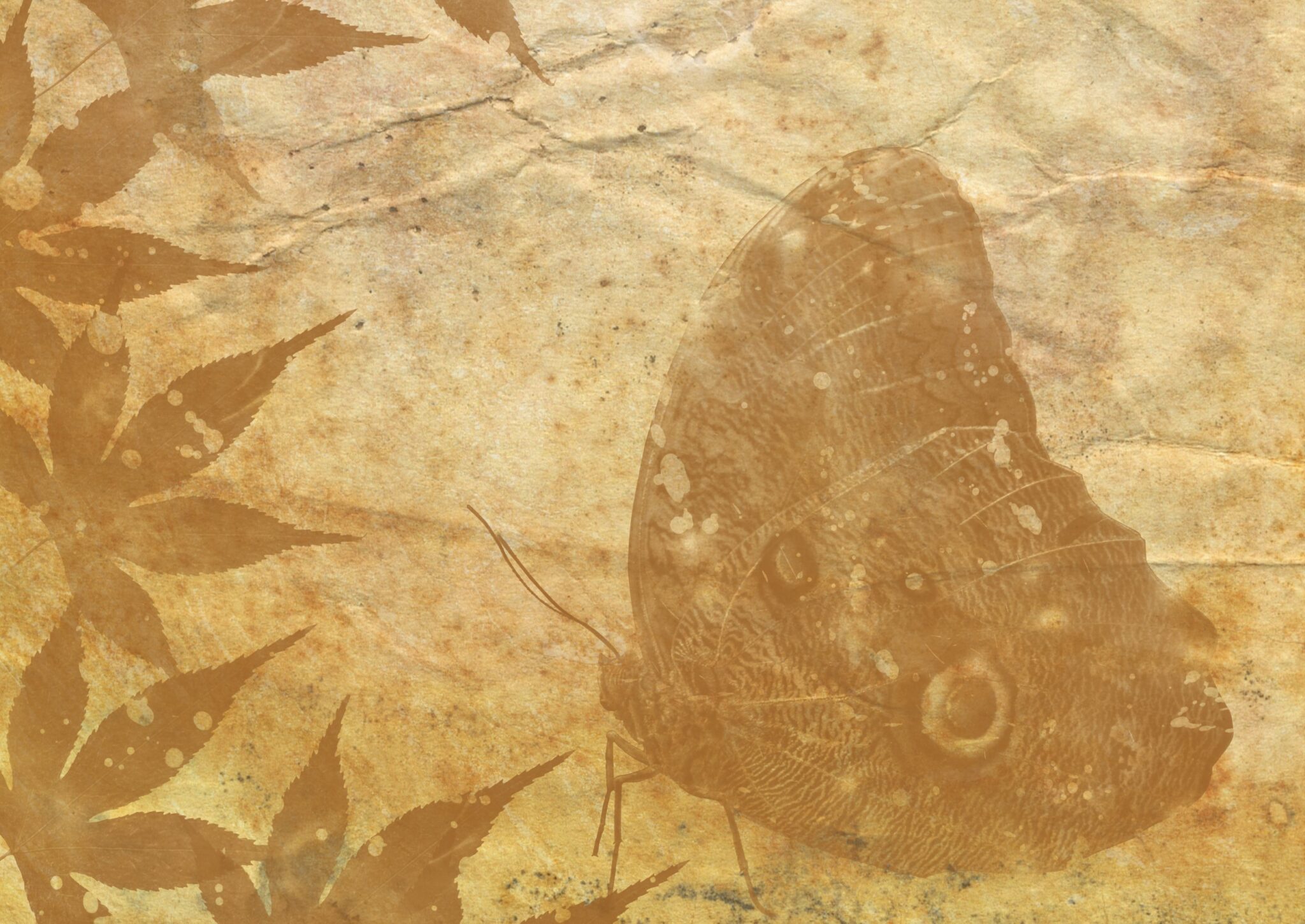 Wallpapering Tips- 7 tips for getting 50 years out of your wallpaper